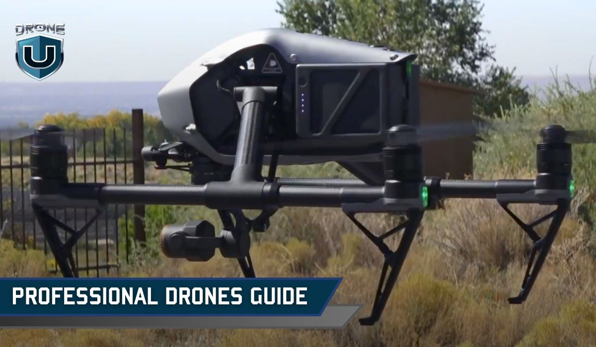 Professional Drones: Best Foreign and Domestic Options [2025]